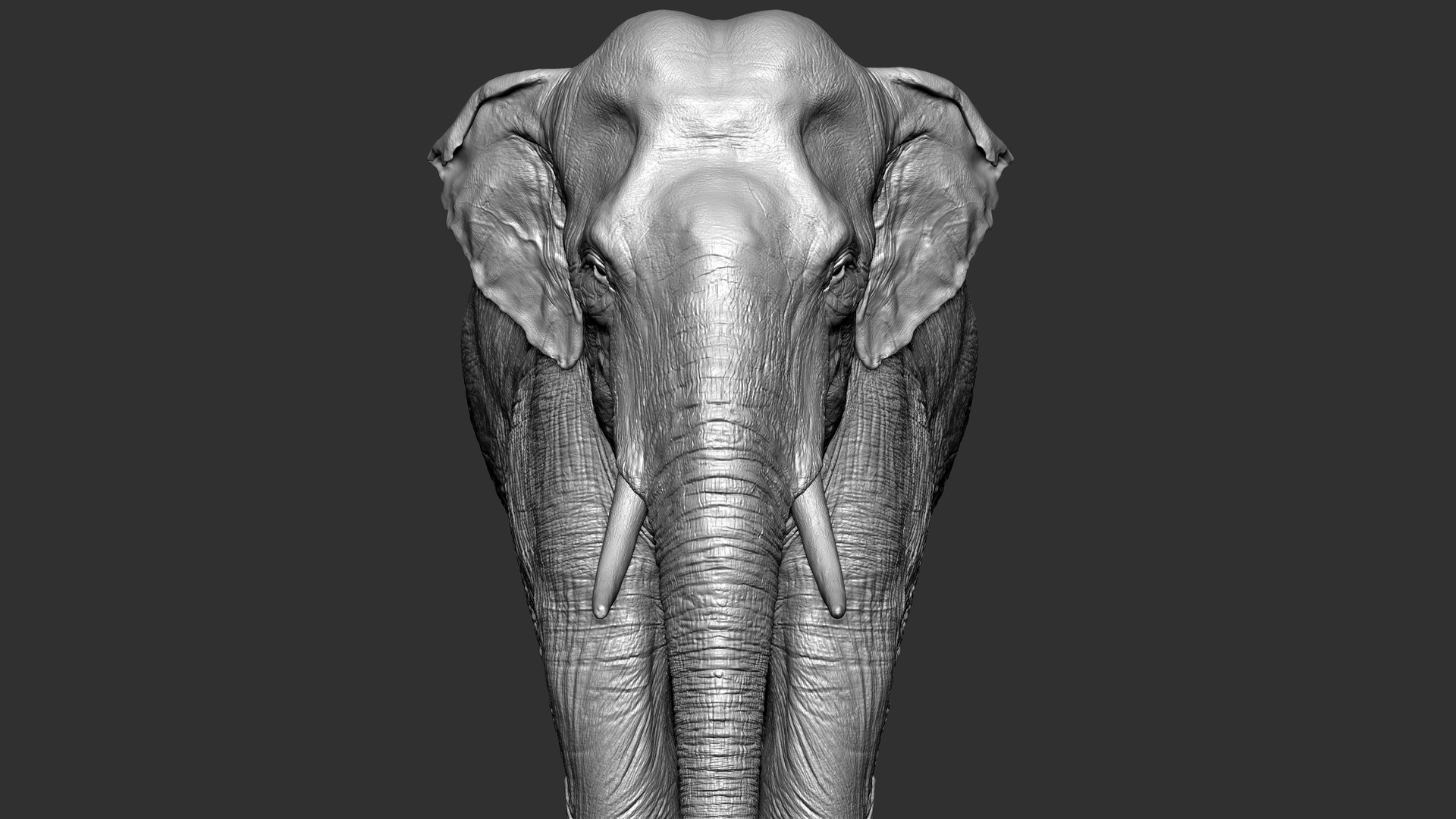 Asian V2 Model - TurboSquid 1516250