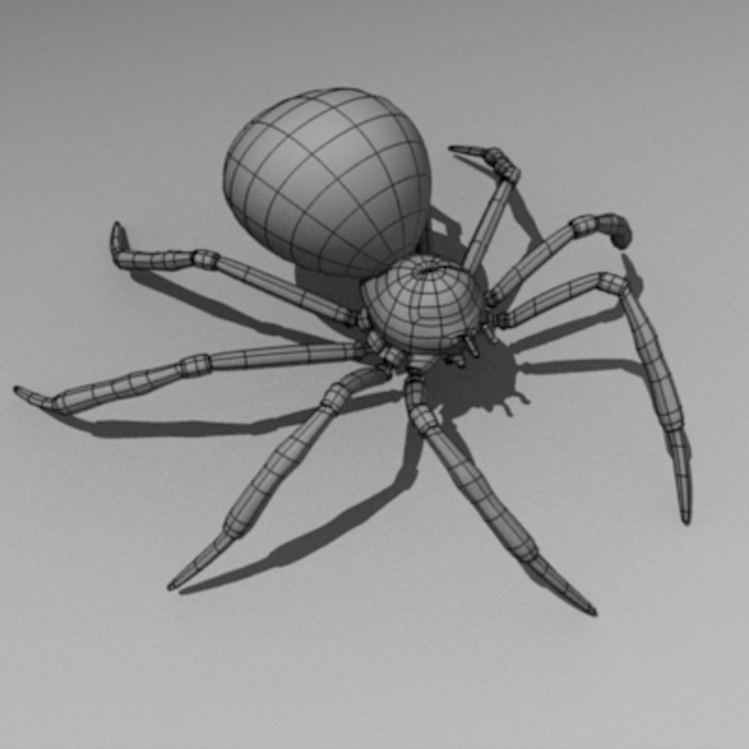 3d Spider Arachnid