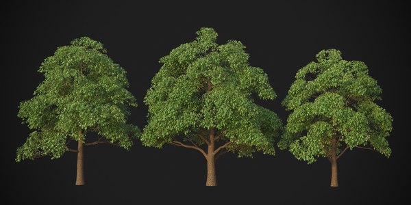 Animated Oak Tree 3D Models for Download | TurboSquid