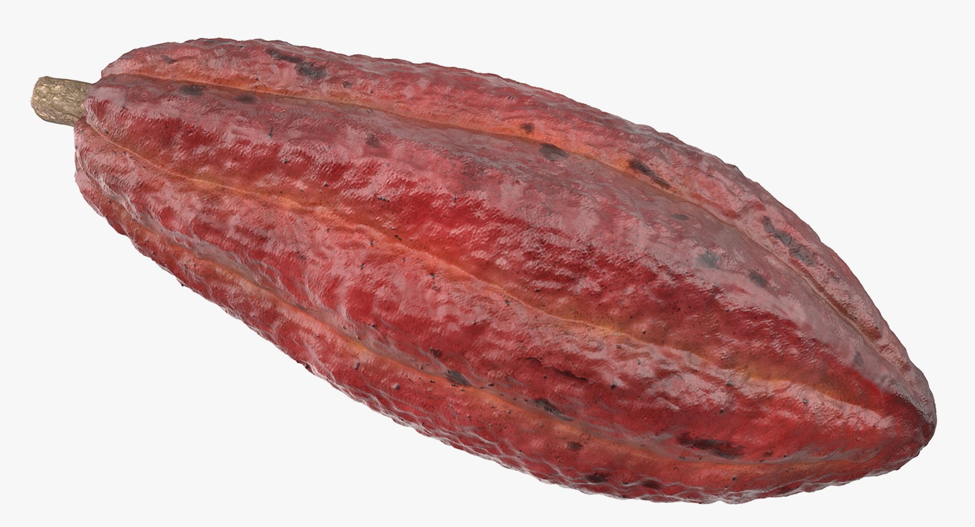 Cacao fruits beans 3D - TurboSquid 1380363