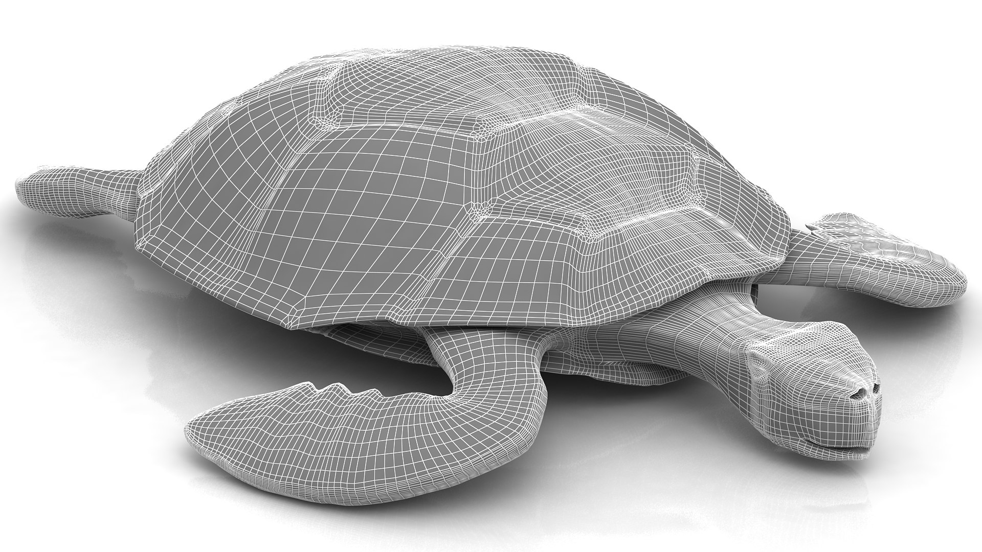 Loggerhead Sea Turtle 3D - TurboSquid 1759382