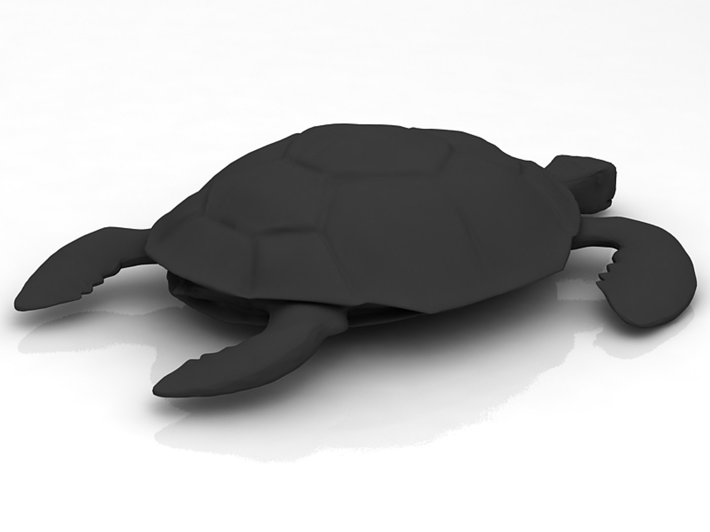 Loggerhead Sea Turtle 3D - TurboSquid 1759382