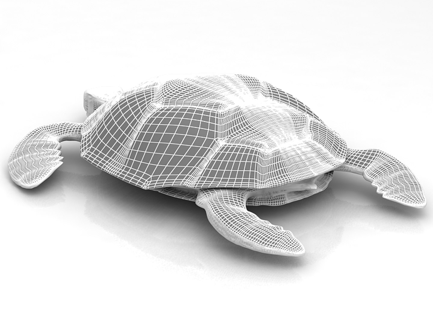 Loggerhead Sea Turtle 3D - TurboSquid 1759382