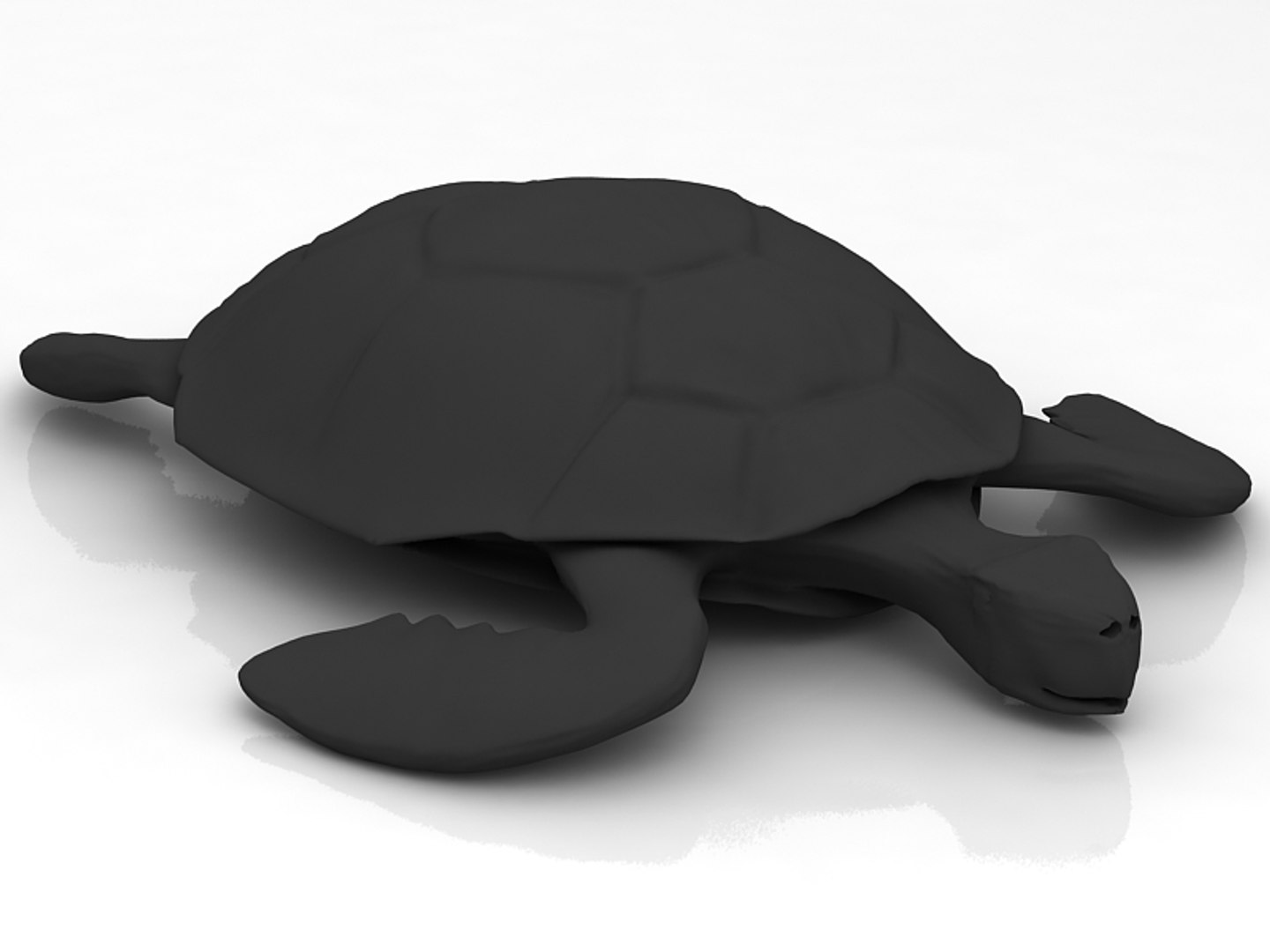 Loggerhead Sea Turtle 3D - TurboSquid 1759382