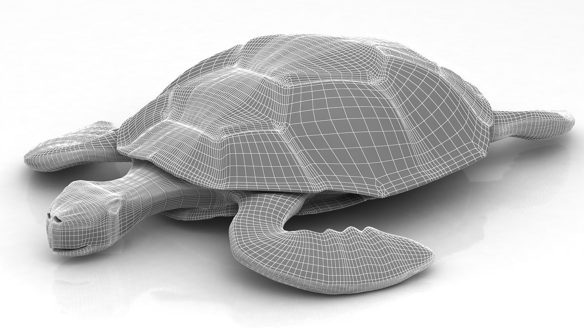 Loggerhead Sea Turtle 3D - TurboSquid 1759382