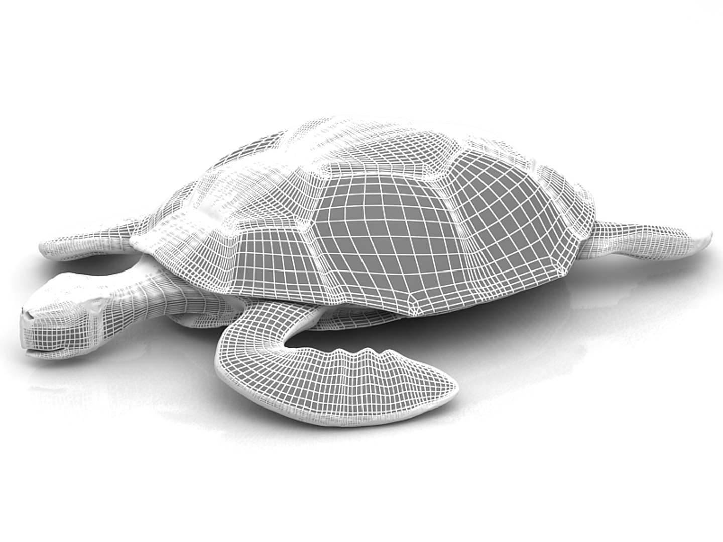 Loggerhead Sea Turtle 3D - TurboSquid 1759382