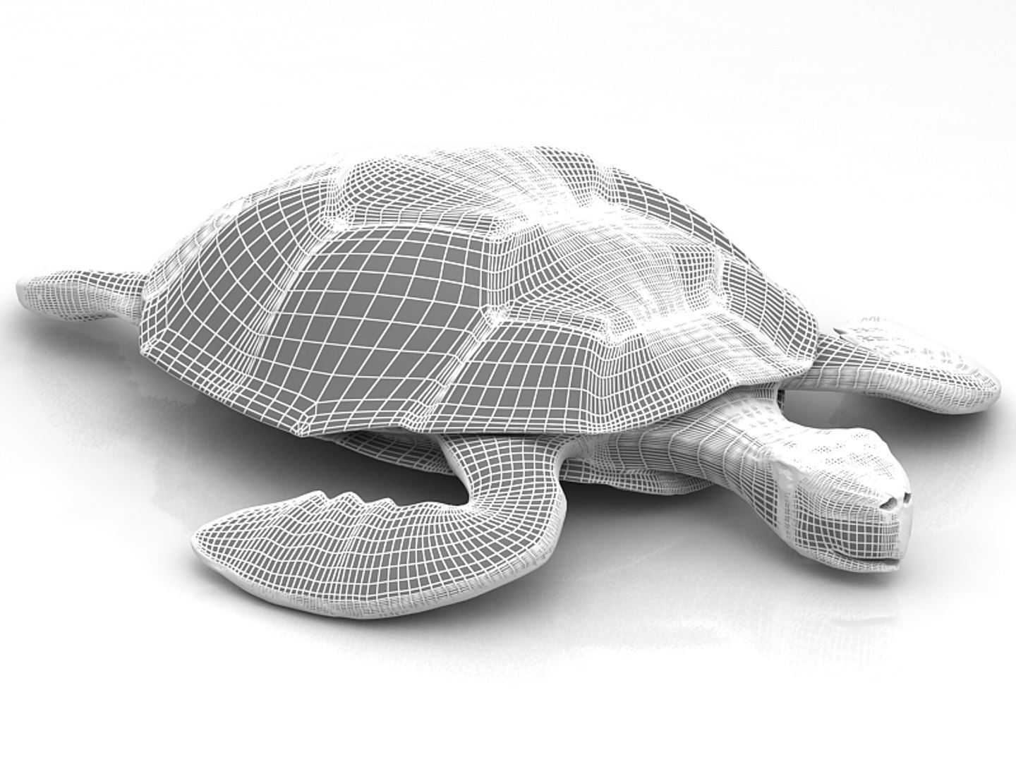 Loggerhead Sea Turtle 3D - TurboSquid 1759382
