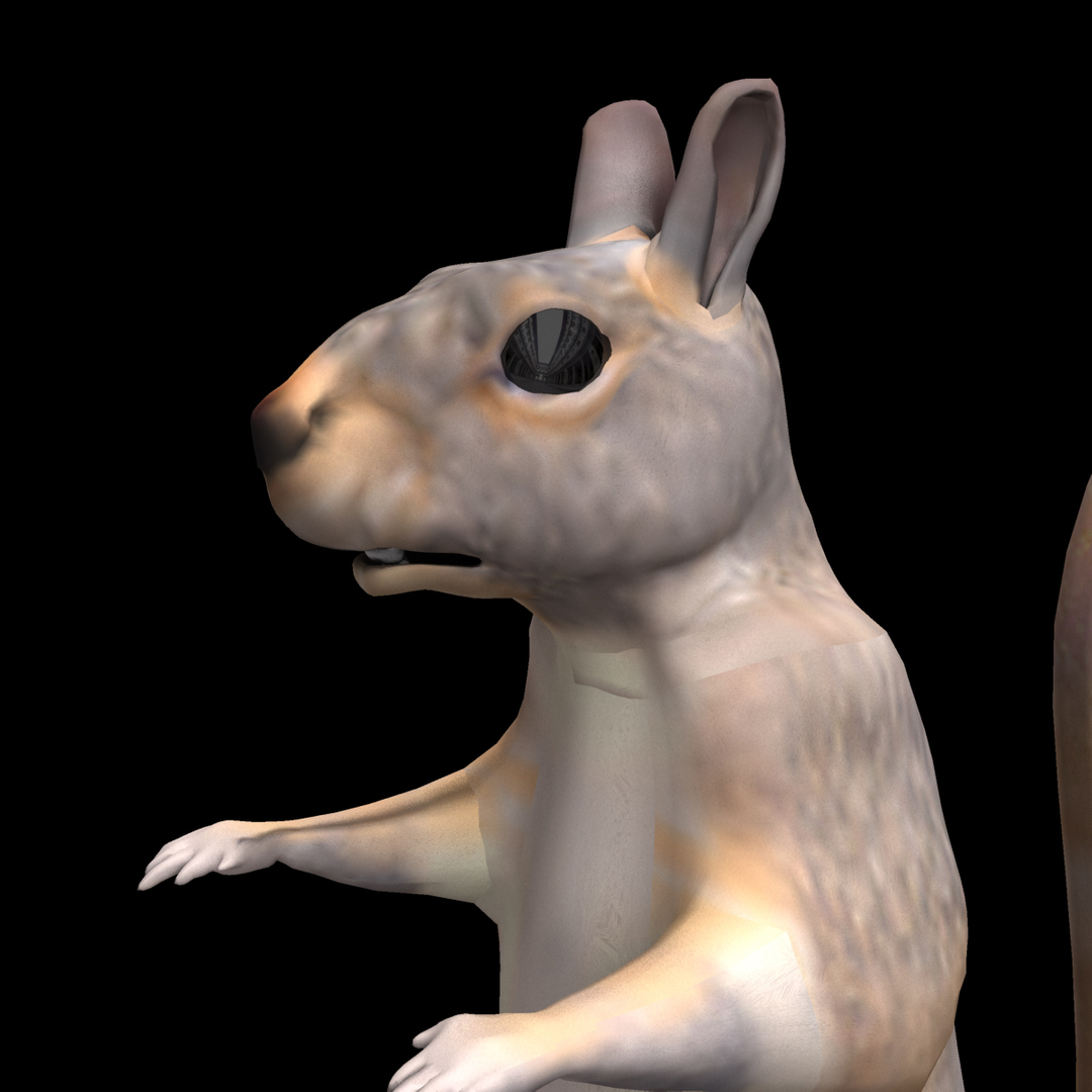 3d furry squirrel model