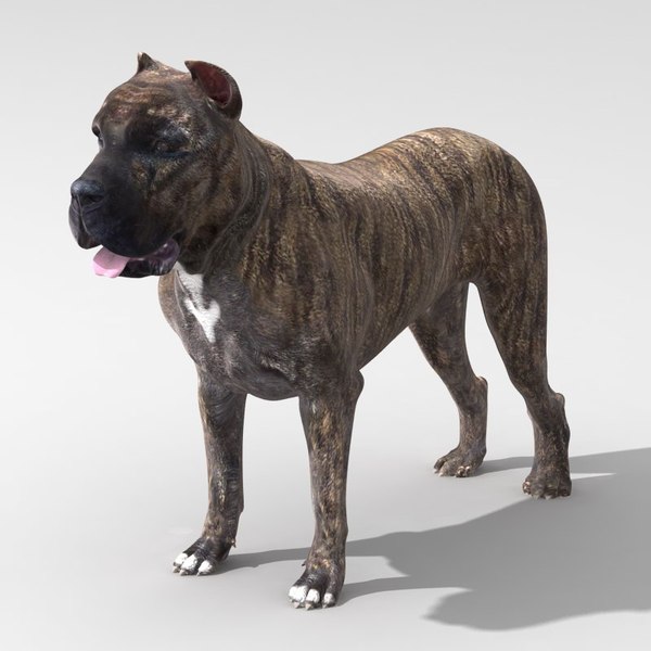 3d extensive dog model