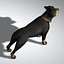 3d Extensive Dog Model