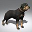 3d Extensive Dog Model