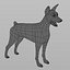 3d Extensive Dog Model