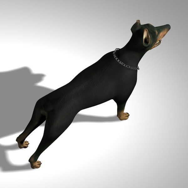 3d extensive dog model