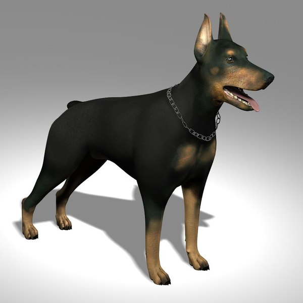 3d extensive dog model