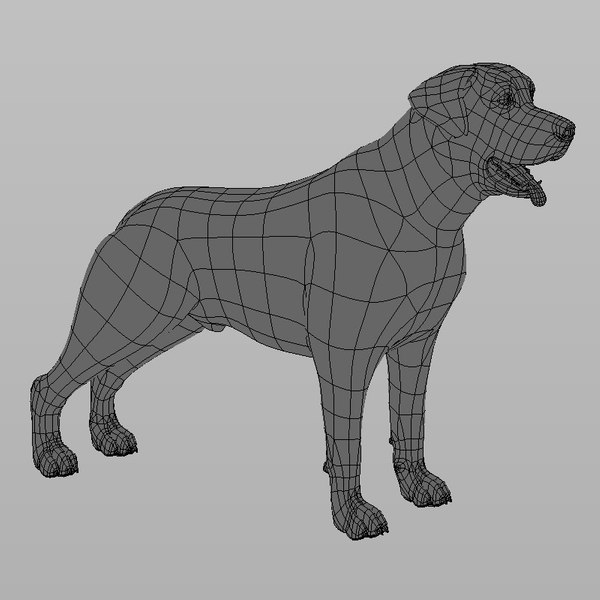 3d extensive dog model