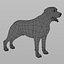 3d Extensive Dog Model