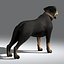 3d Extensive Dog Model