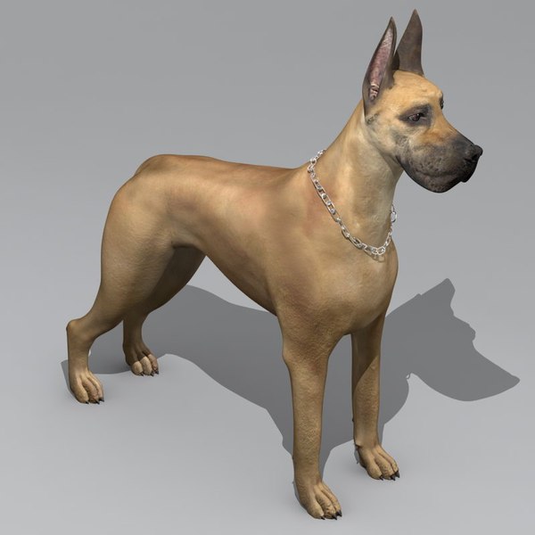 3d extensive dog model