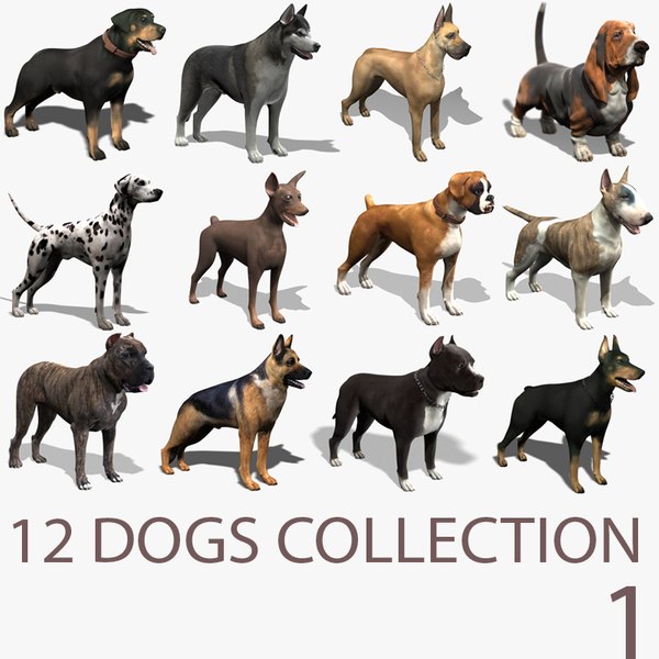 free dog 3d model