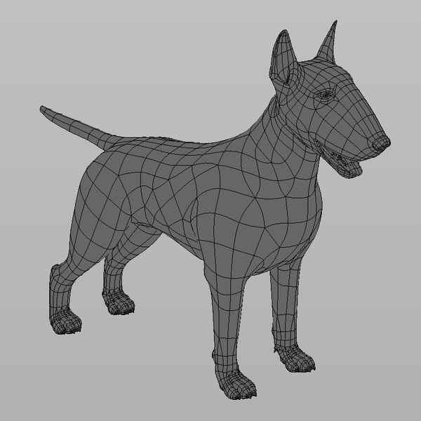 3d extensive dog model
