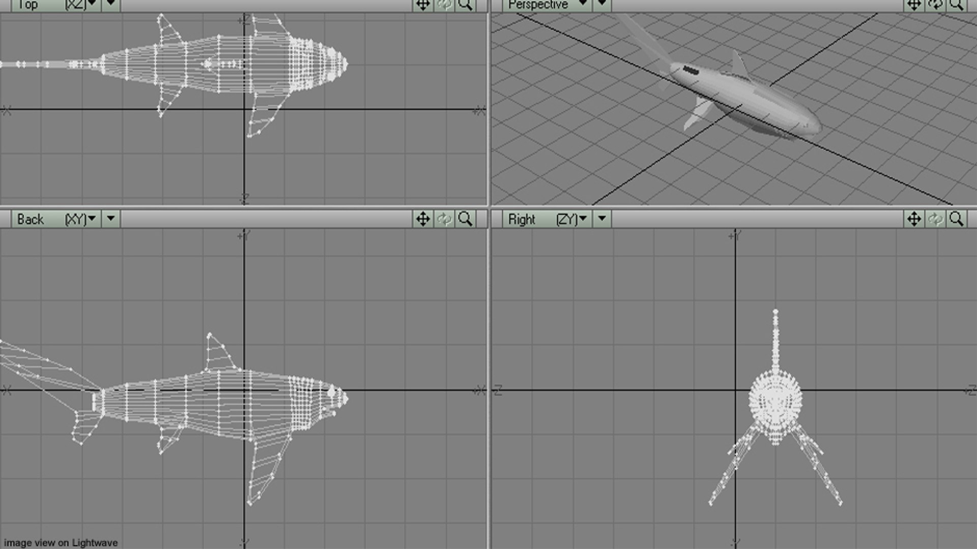 Shark 3D Model - TurboSquid 1173983