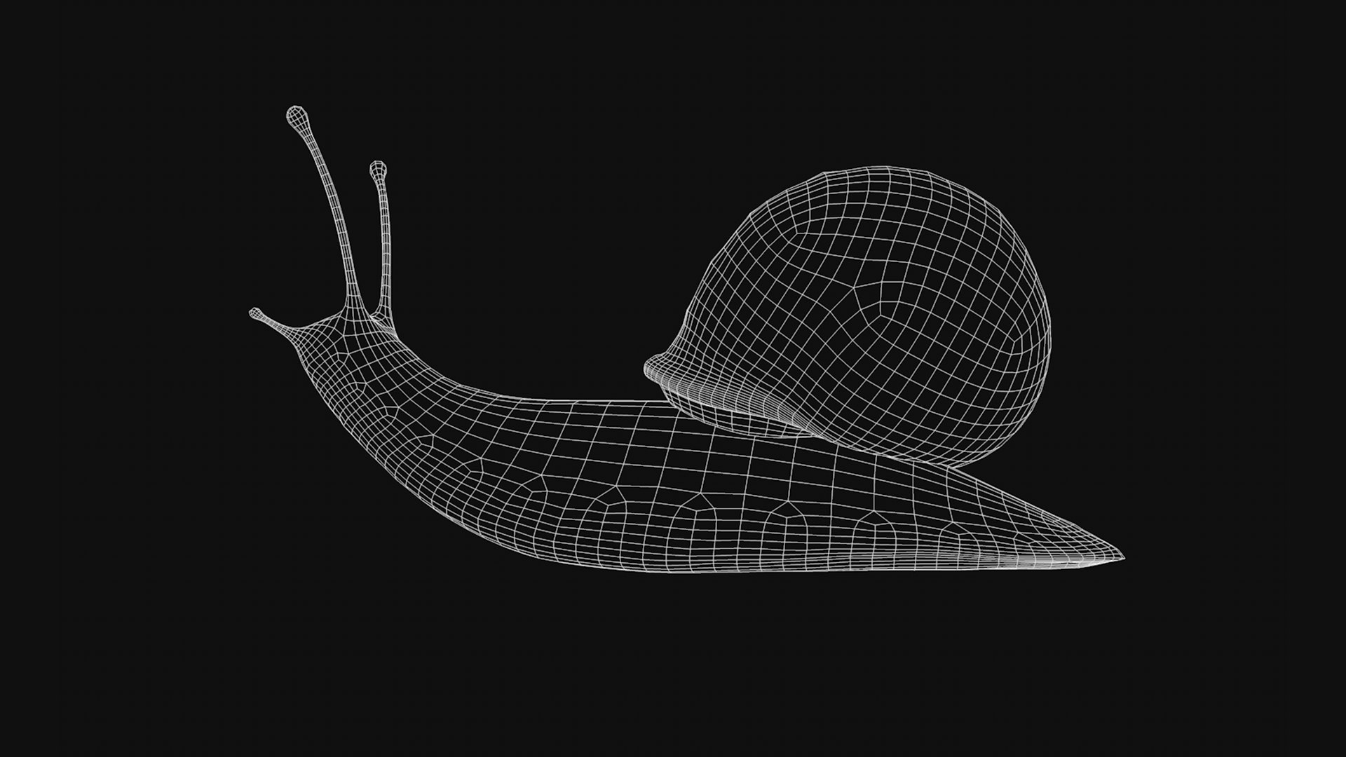 3D Snail - TurboSquid 1845594