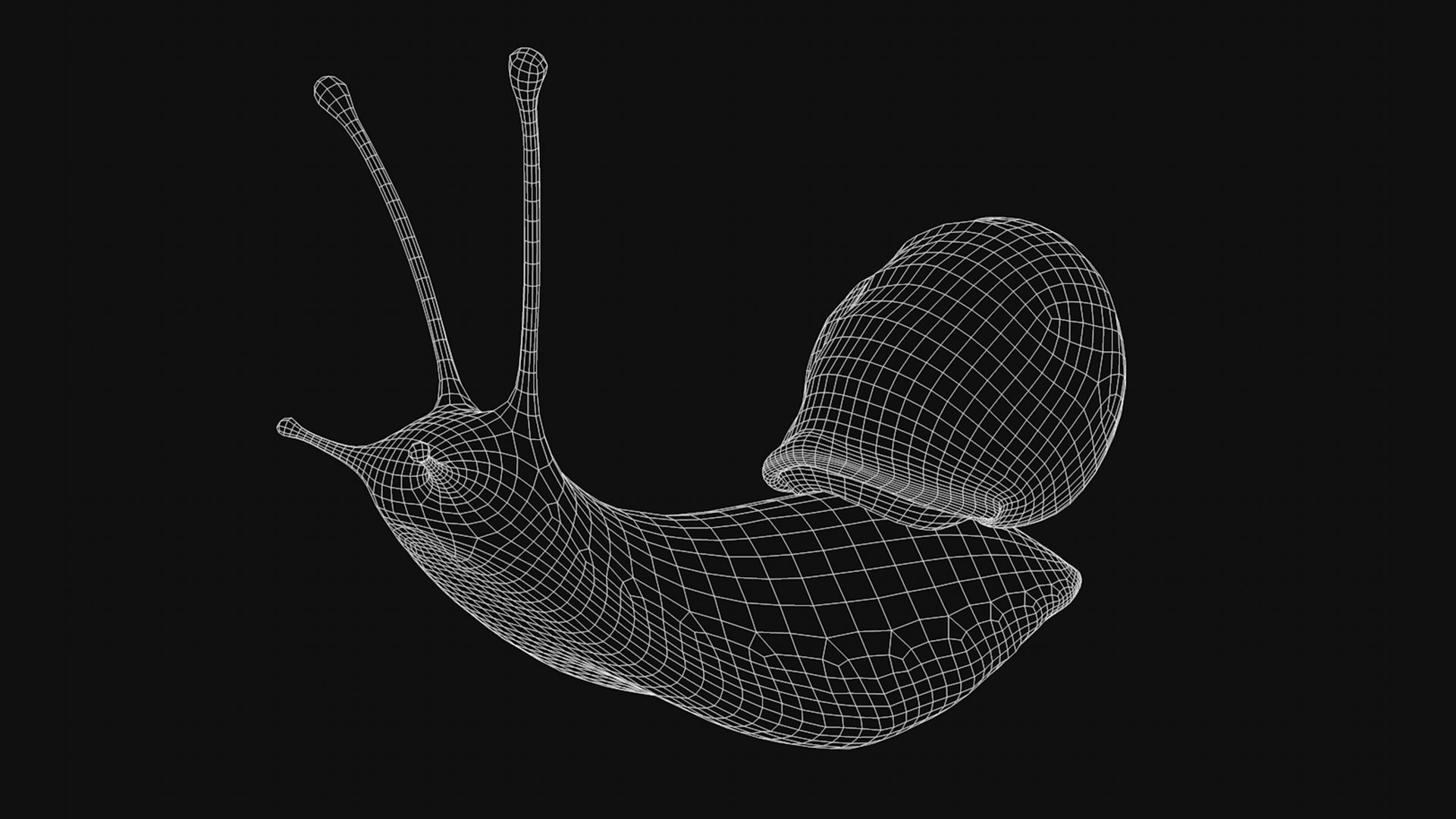 3D Snail - TurboSquid 1845594