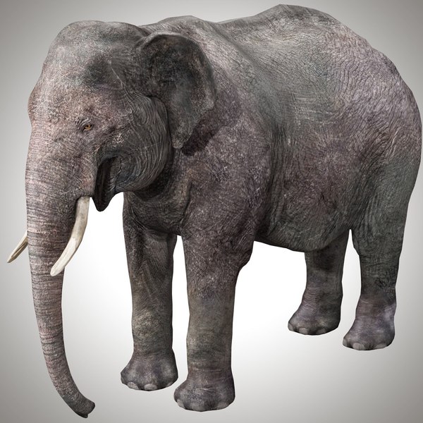 Asian Elephant 3D Models for Download | TurboSquid