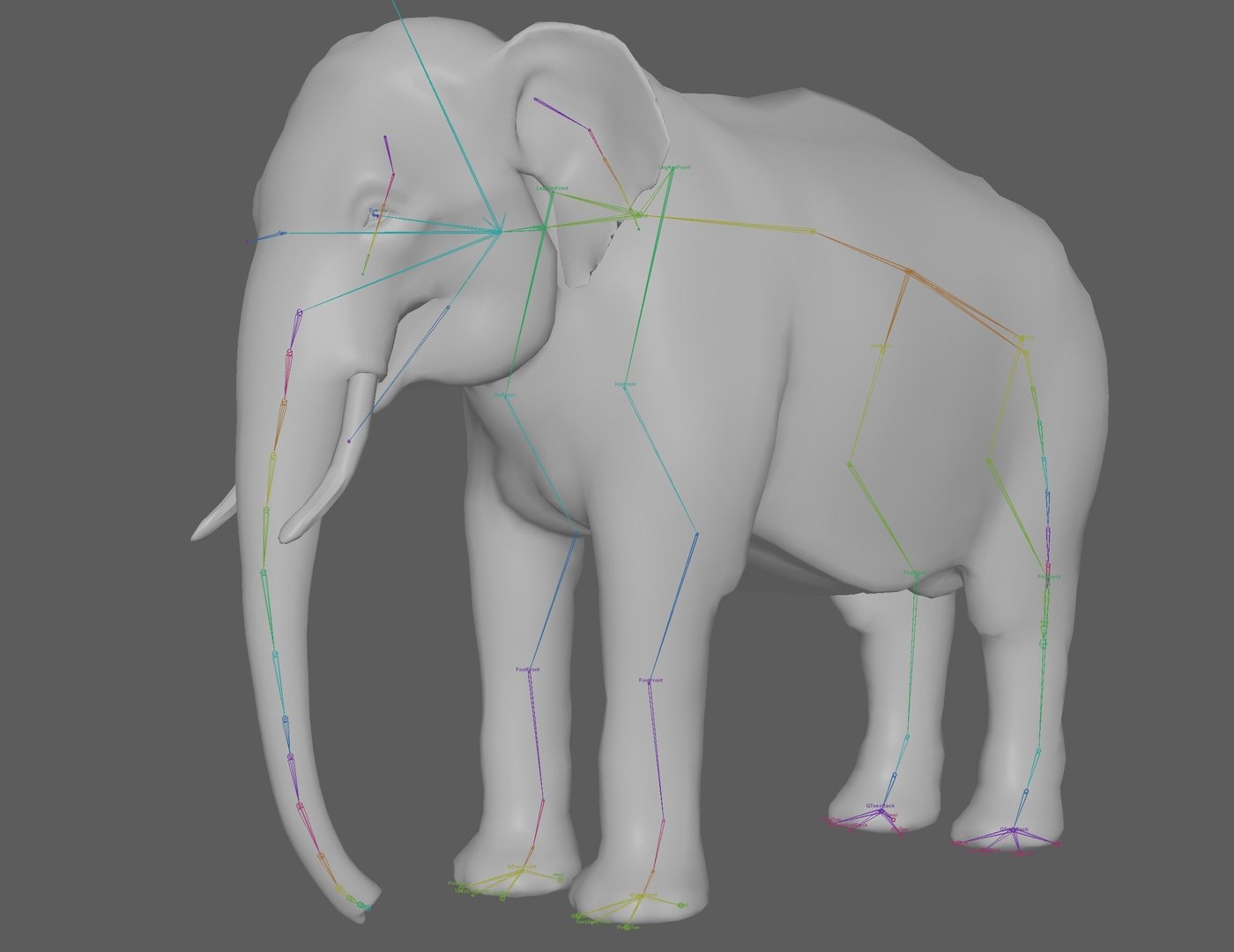 Asian Elephant Rig 3D Model - TurboSquid 1868205