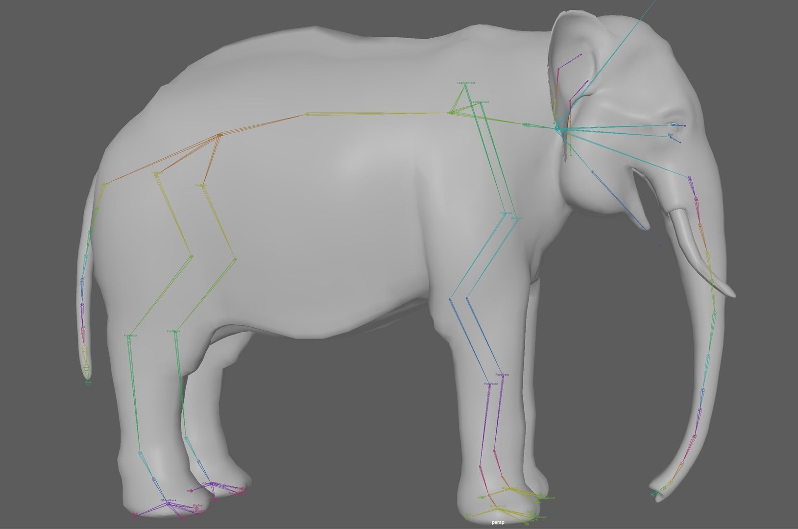 Asian Elephant Rig 3D Model - TurboSquid 1868205