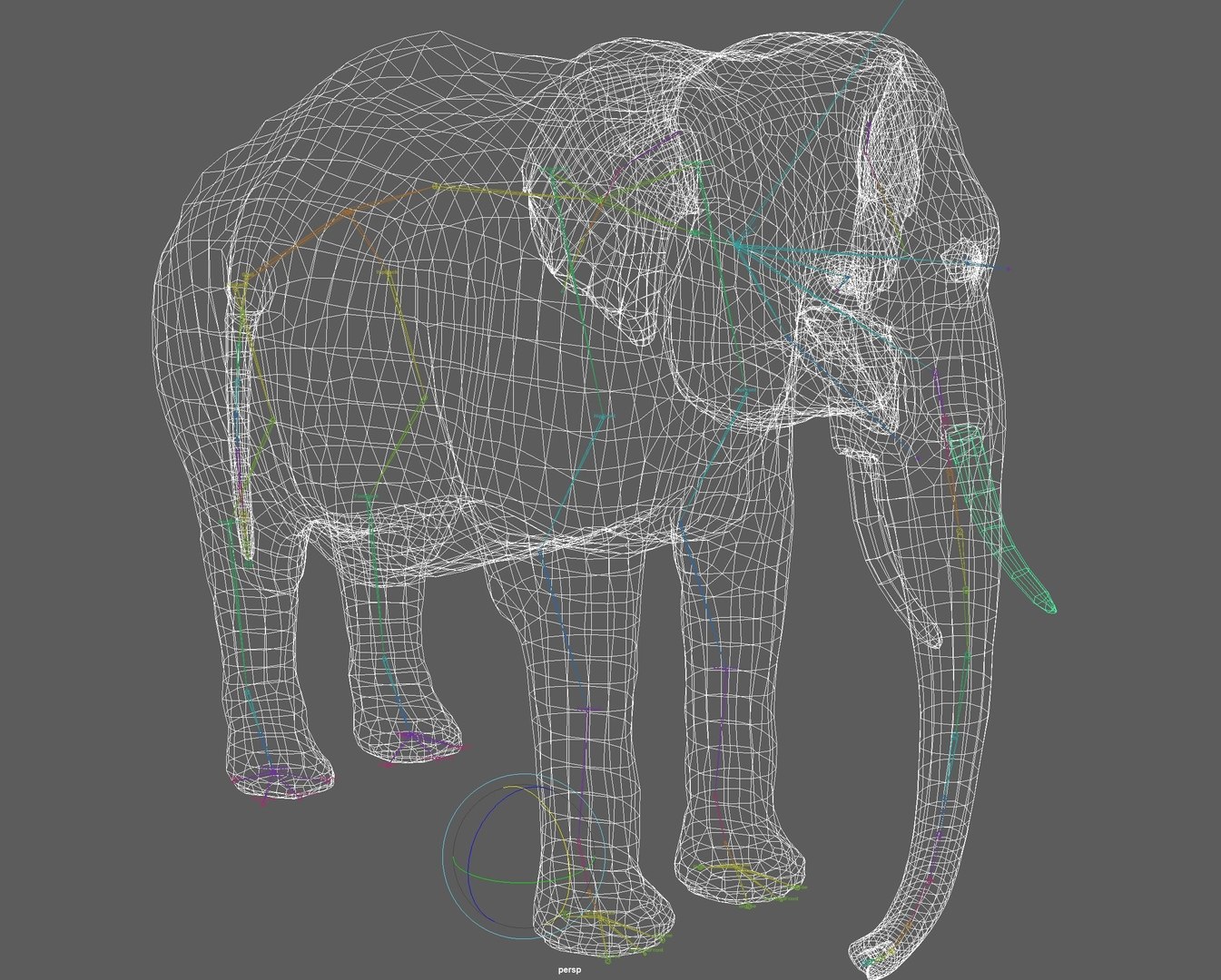 Asian Elephant Rig 3D Model - TurboSquid 1868205