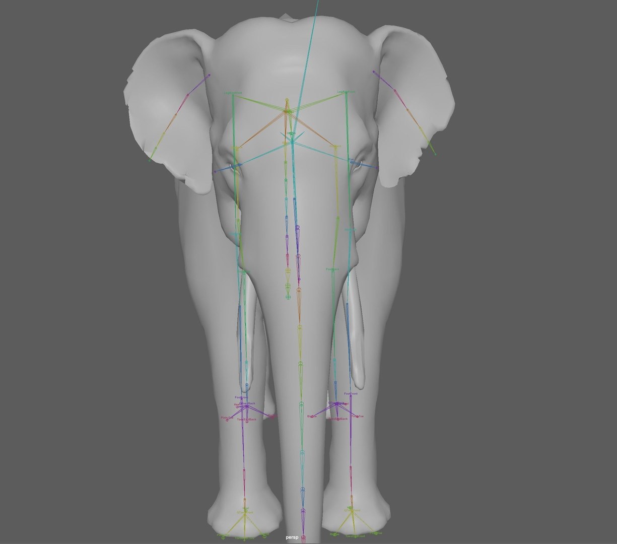 Asian Elephant Rig 3D Model - TurboSquid 1868205