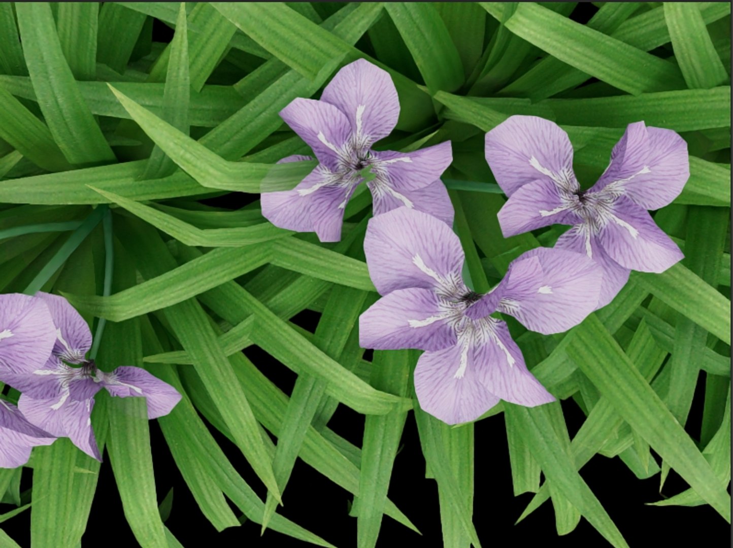 3D Ornamental Plant Model With Small Purple Flowers - TurboSquid 2379262