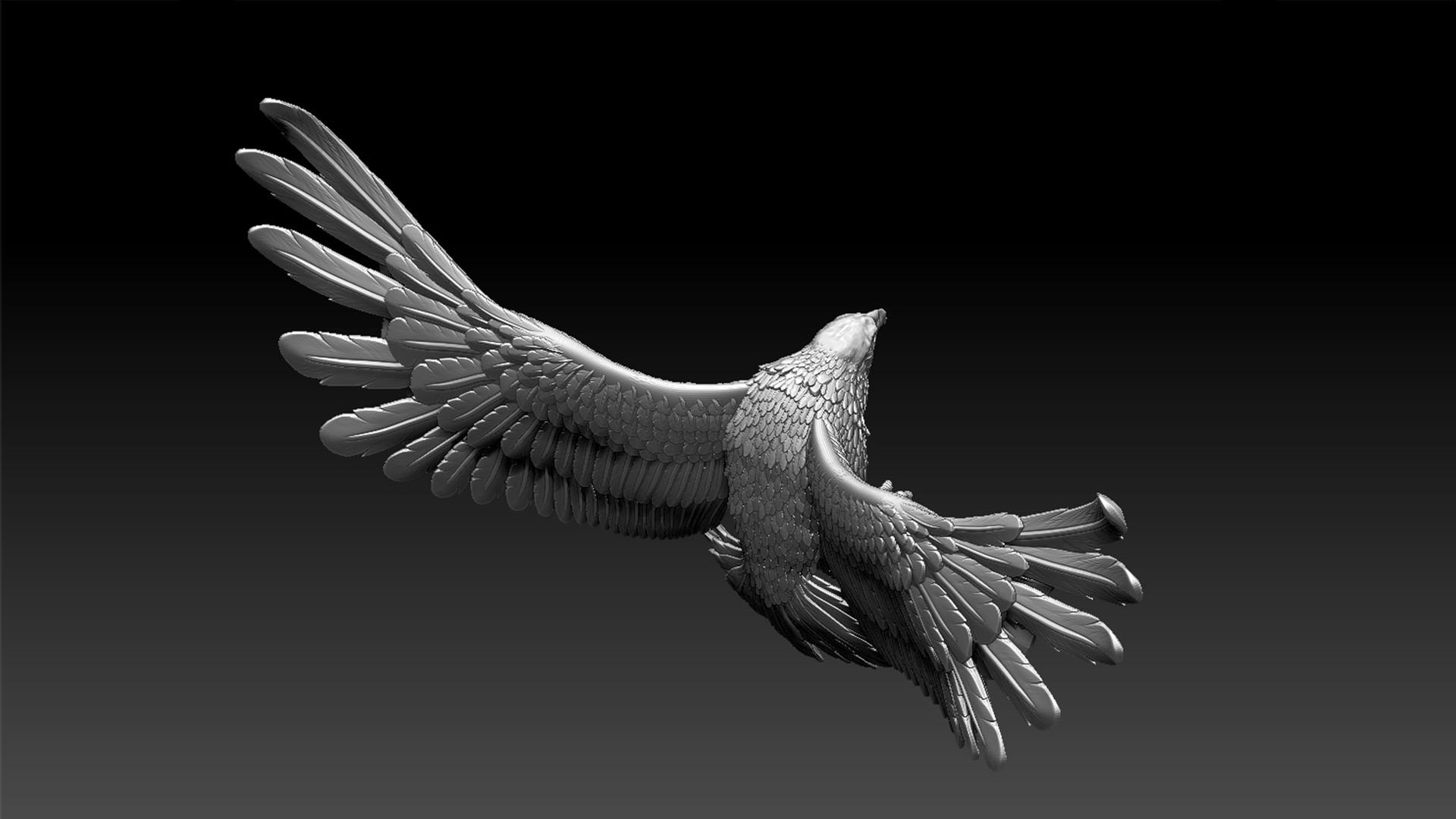 3D Eagle - TurboSquid 1957377