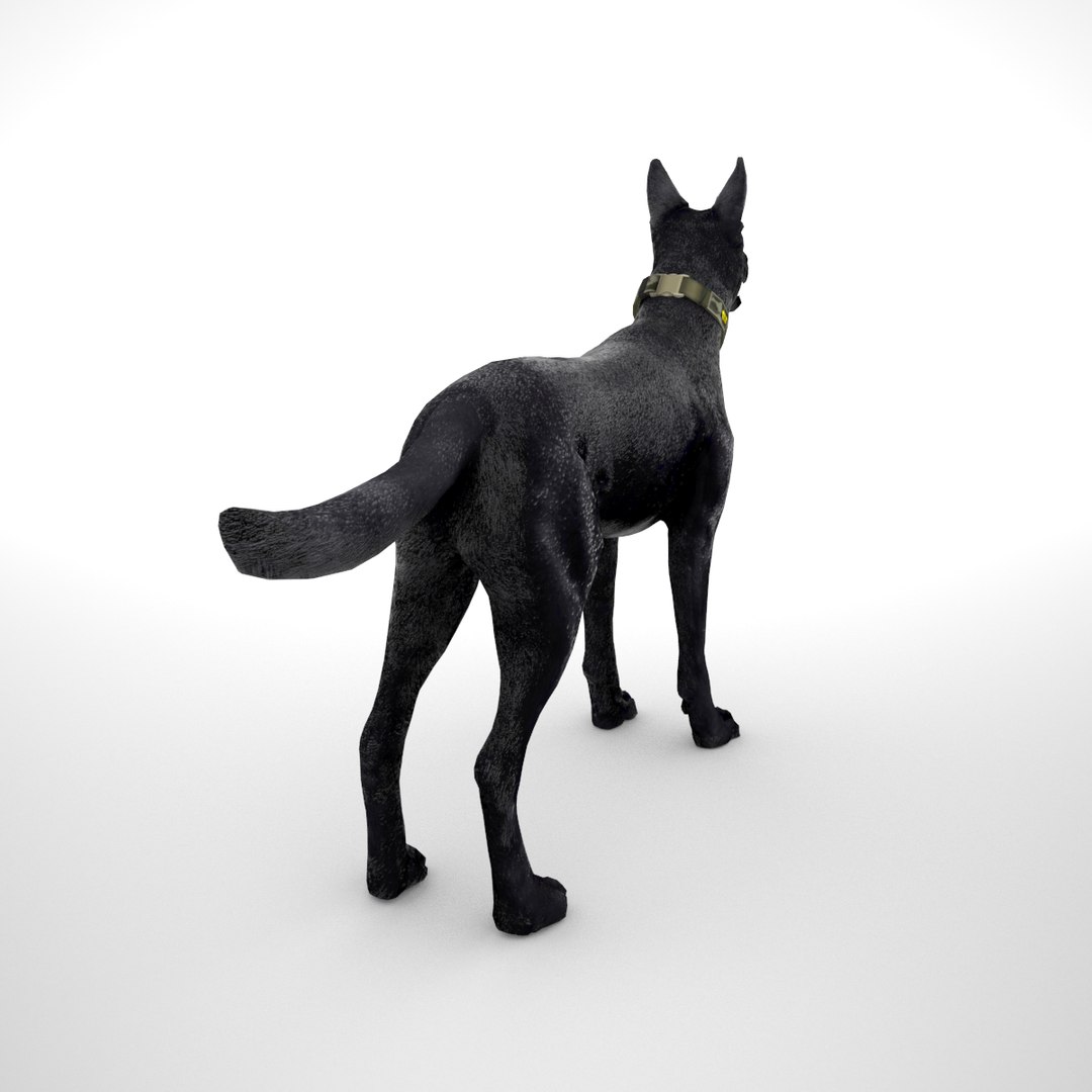 Belgian Malinois Multicam Id 3D Model - TurboSquid 1246329