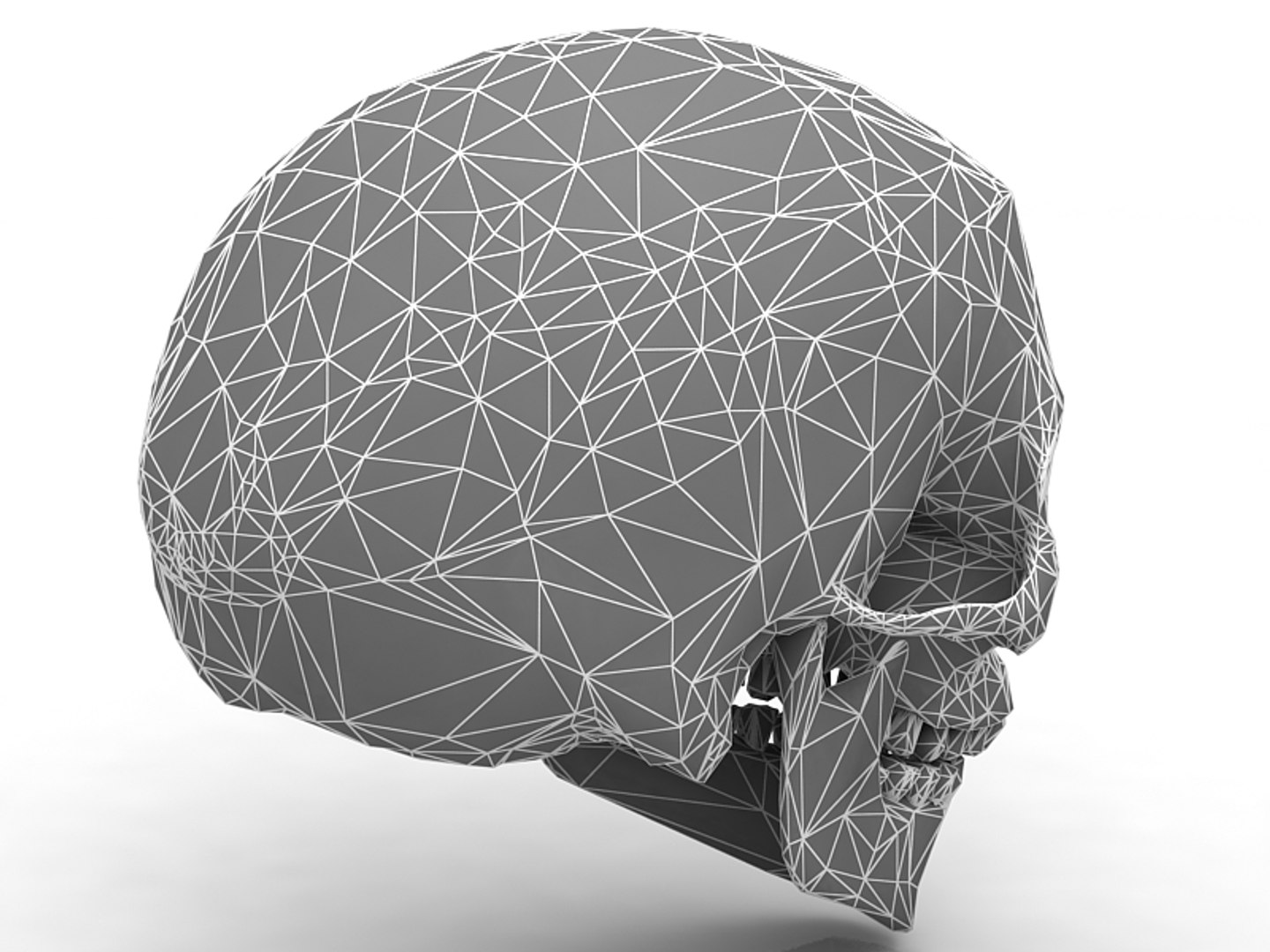 3D Real Human Skull model - TurboSquid 1784344