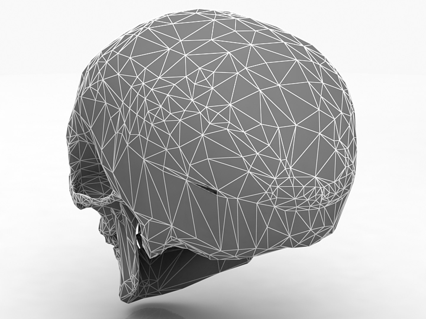 3D Real Human Skull model - TurboSquid 1784344