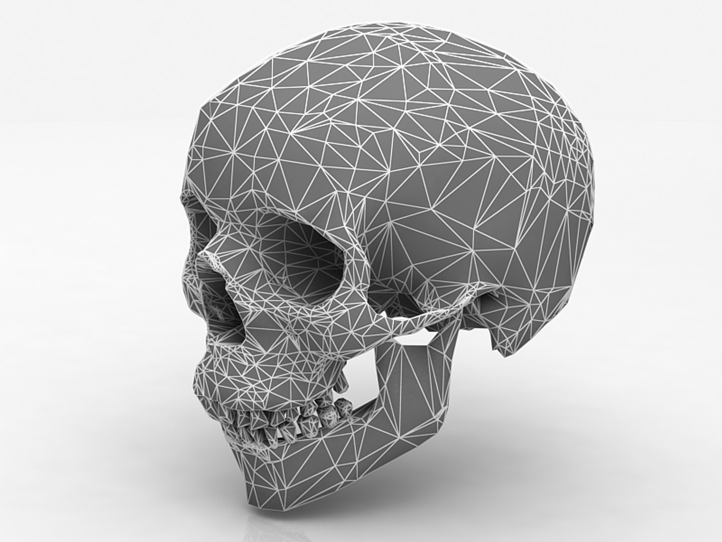 3D Real Human Skull model - TurboSquid 1784344