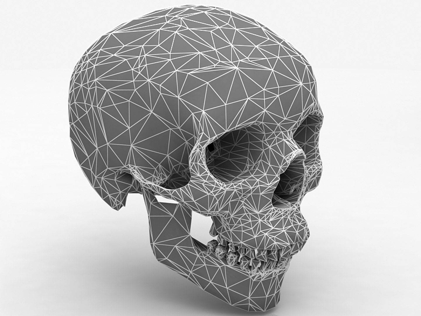 3D Real Human Skull model - TurboSquid 1784344