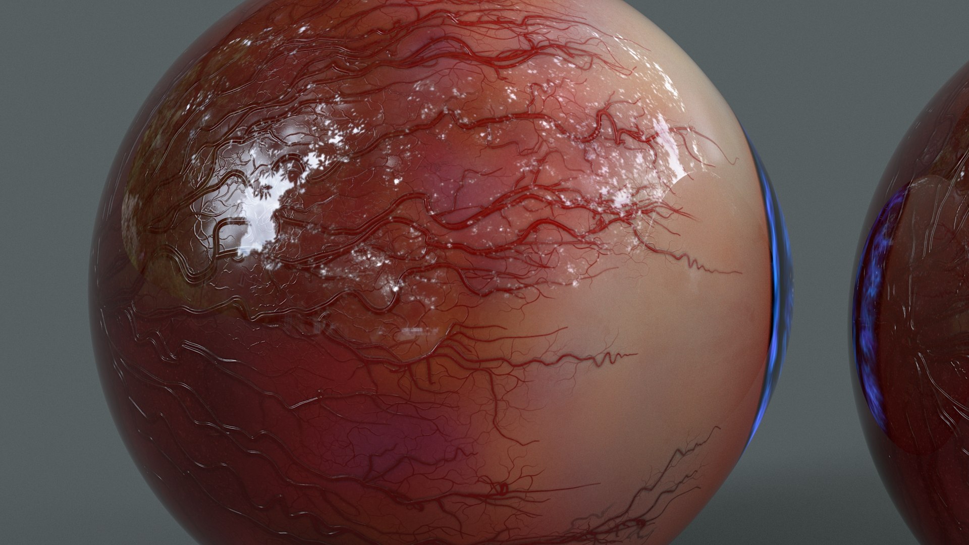 Creature Eye Animated 3D Model - TurboSquid 2323673