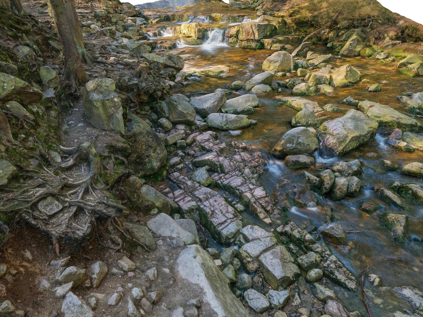 Forest waterfall 16k 3D - TurboSquid 1151464