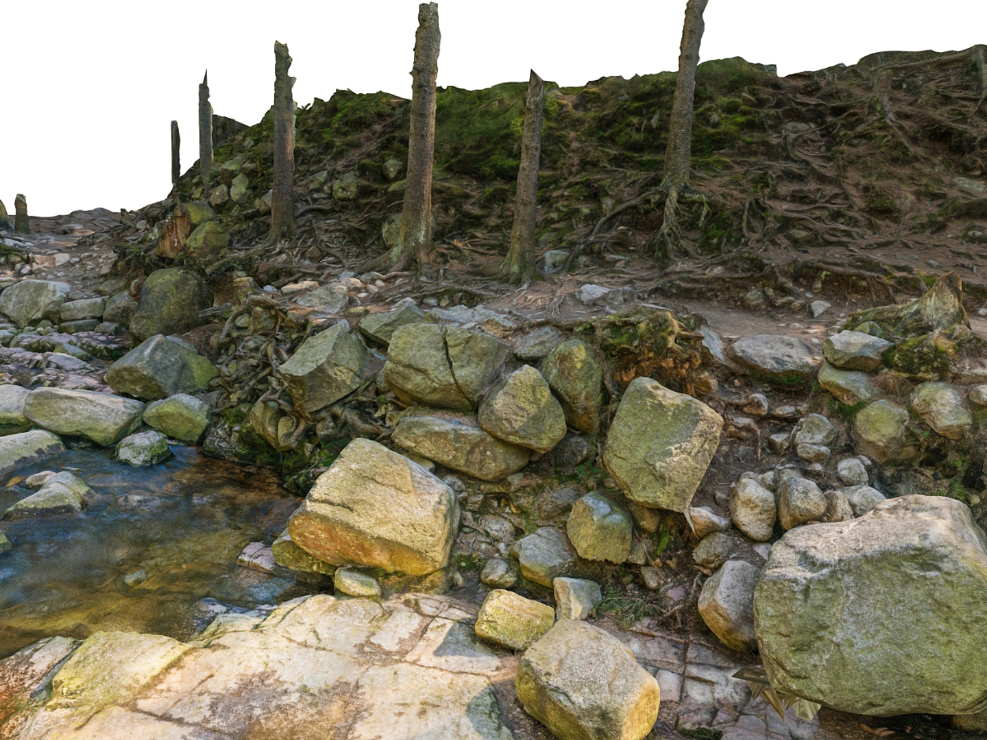 Forest Waterfall 16k 3D - TurboSquid 1151464