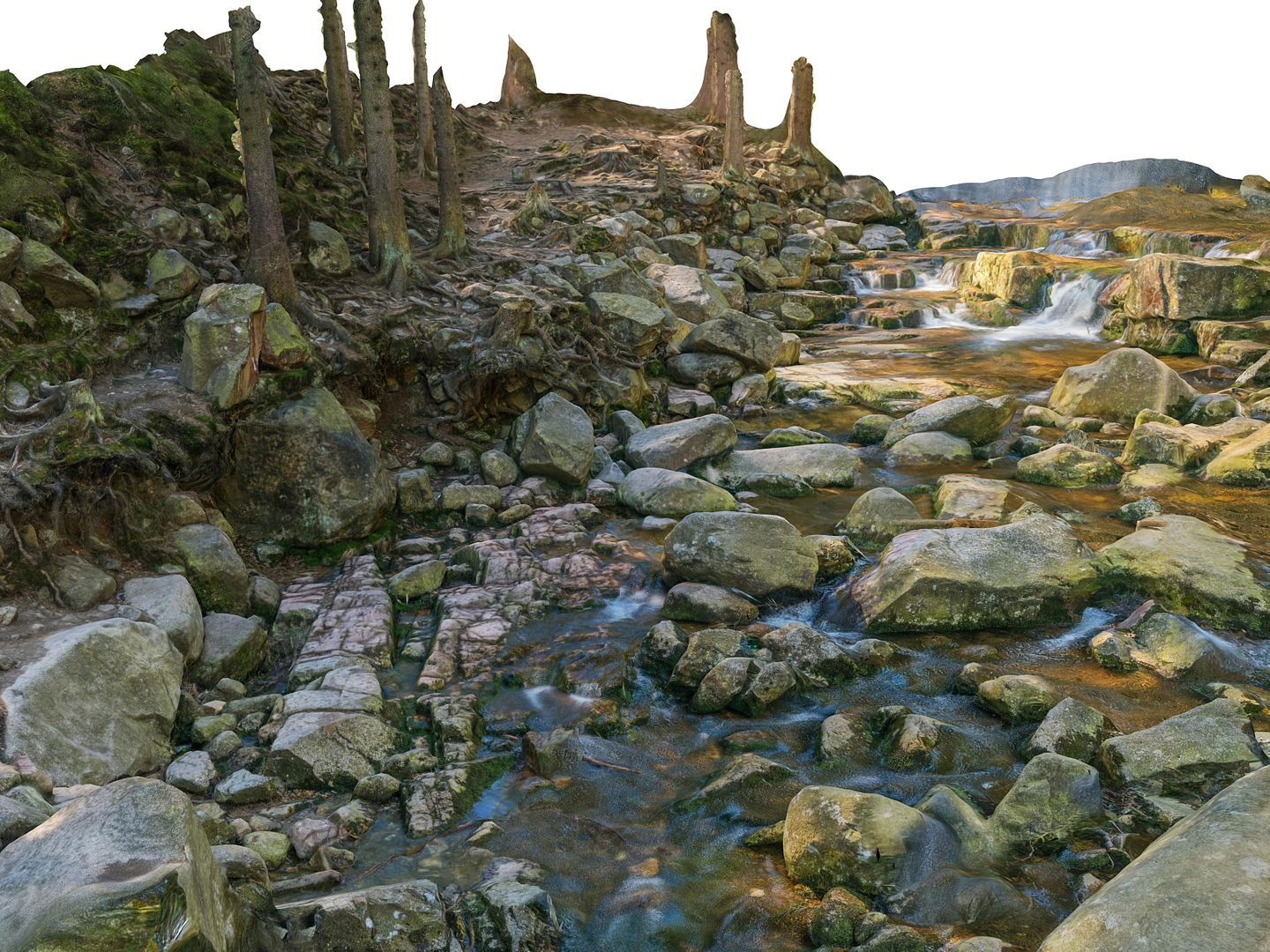 Forest waterfall 16k 3D - TurboSquid 1151464