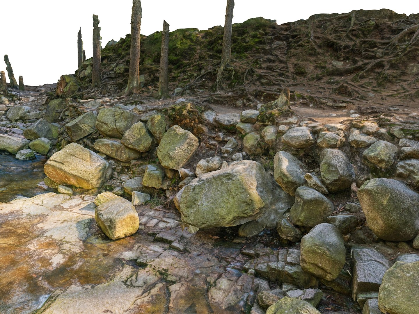 Forest Waterfall 16k 3D - TurboSquid 1151464