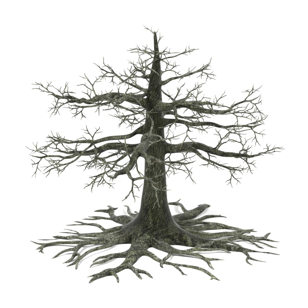 Dead Old Oak Tree 3d Model