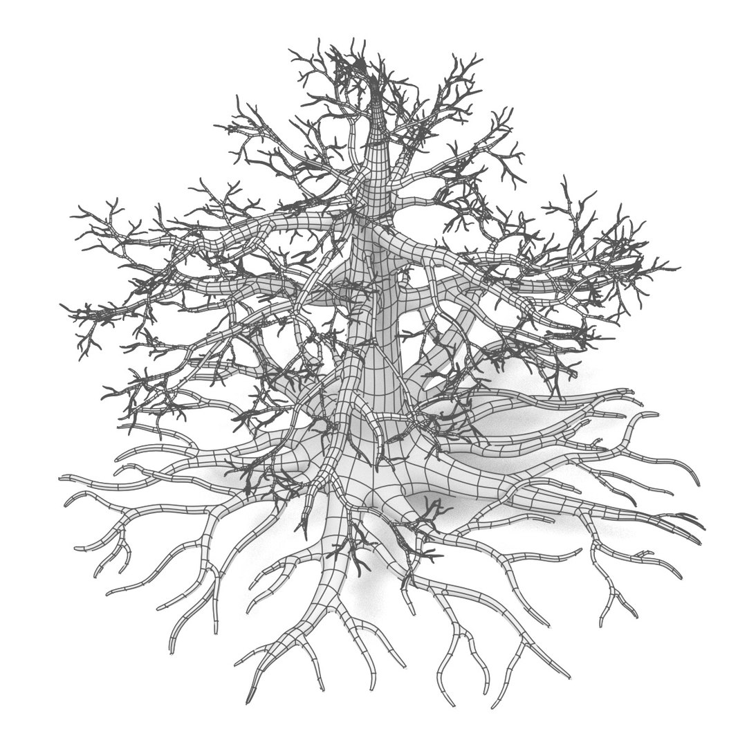 Dead Old Oak Tree 3d Model