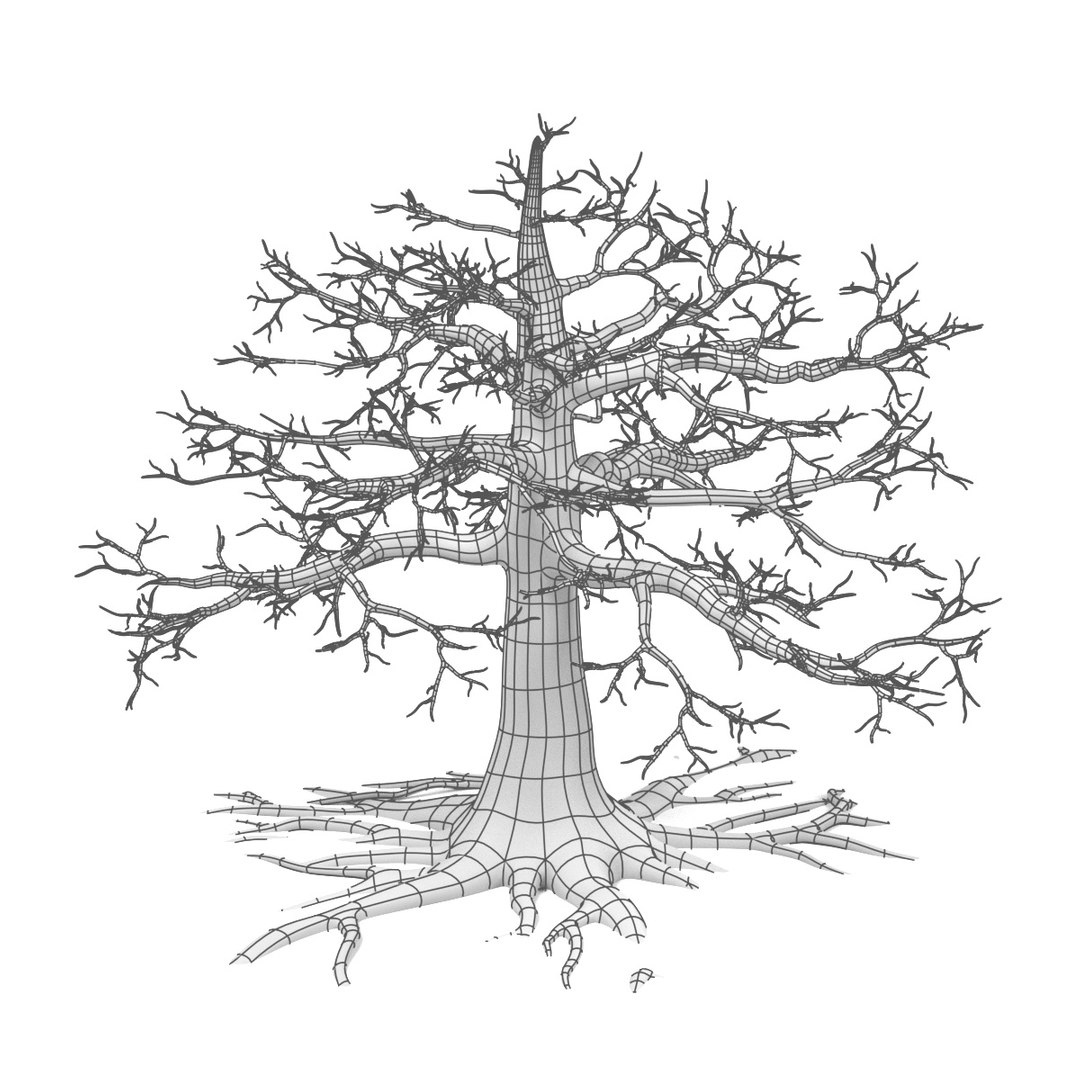 Dead Old Oak Tree 3d Model