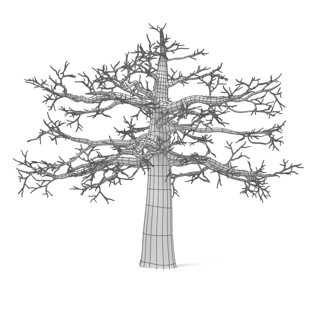 Dead Old Oak Tree 3d Model