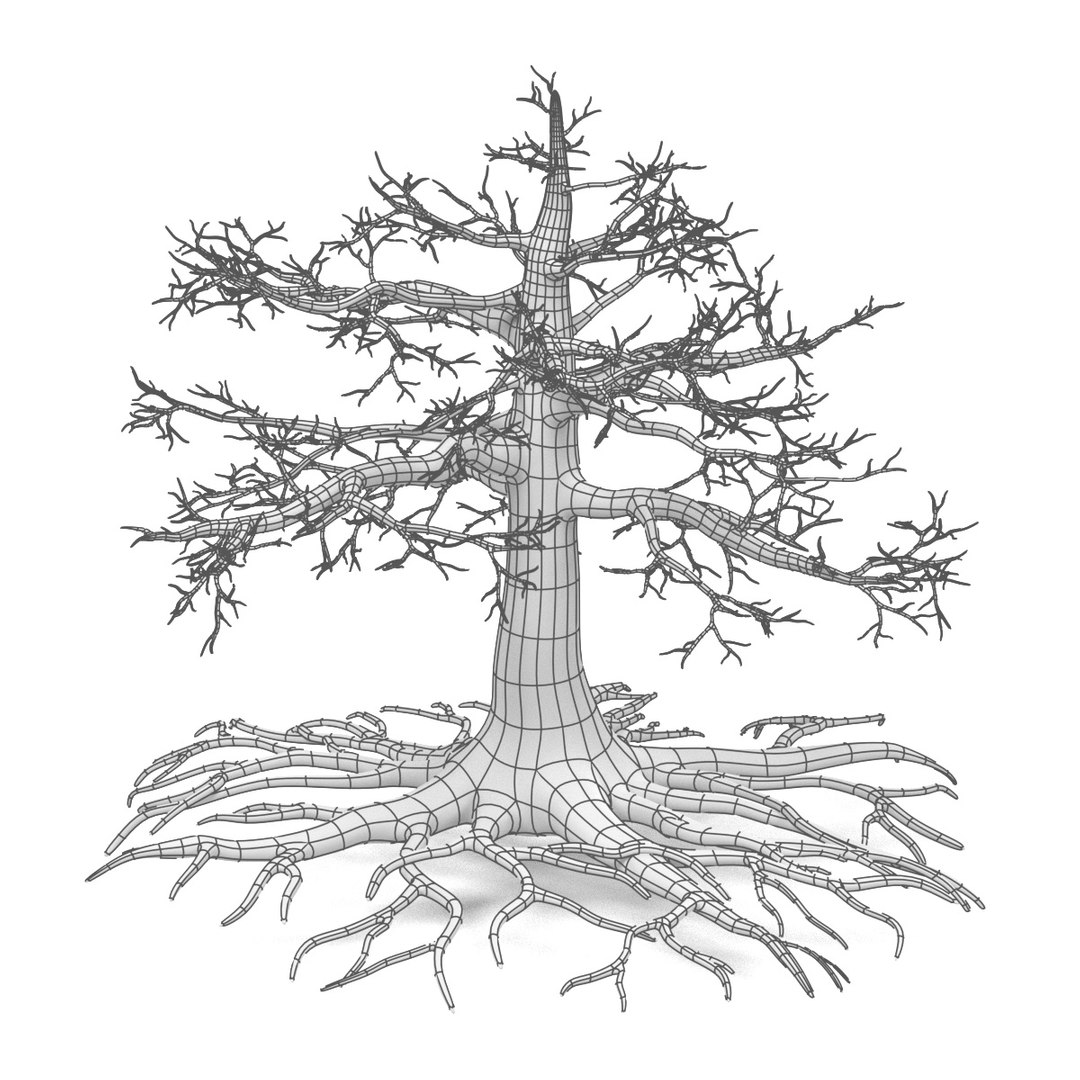 Dead Old Oak Tree 3d Model