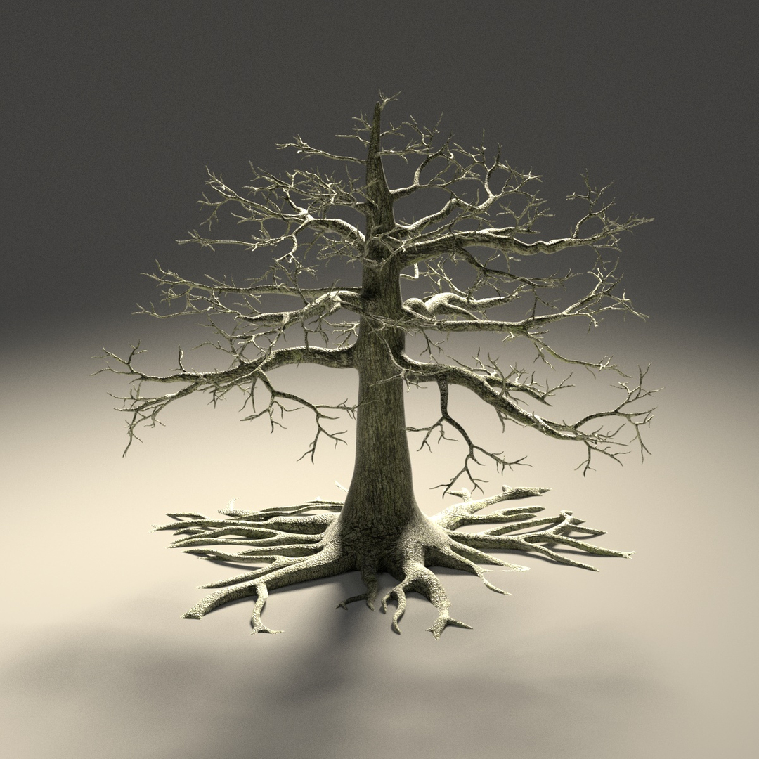 Dead Old Oak Tree 3d Model